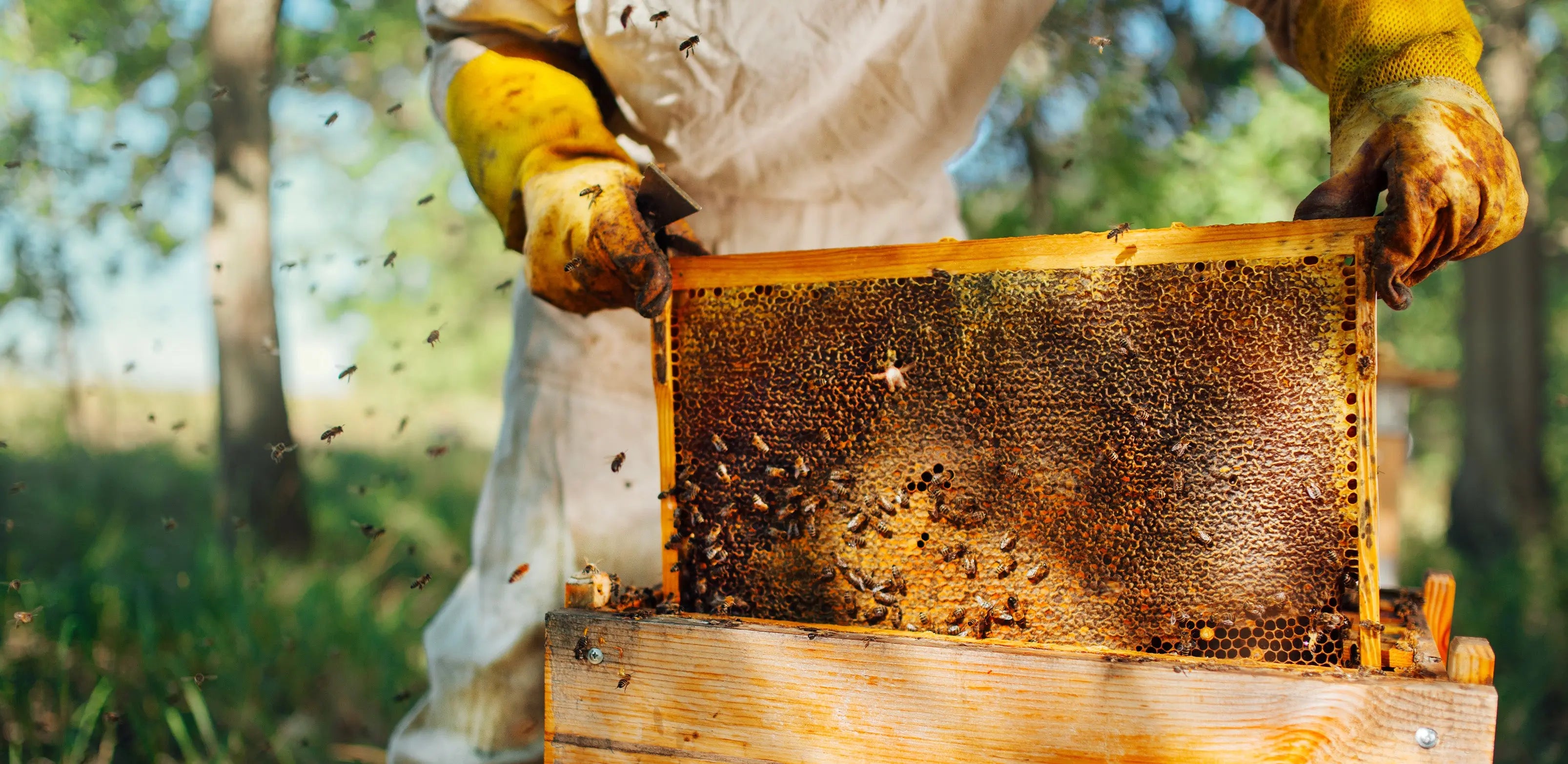 Infos – la miellerie